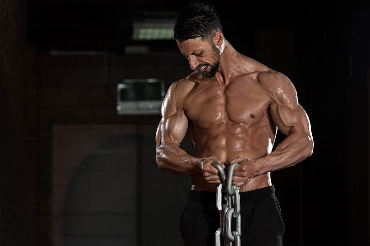 3 Reasons You're Not Shredded – Shredz Supplements