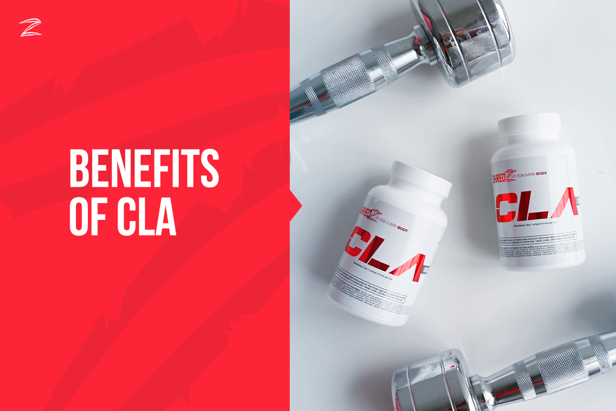 Benefits of CLA – Shredz Supplements
