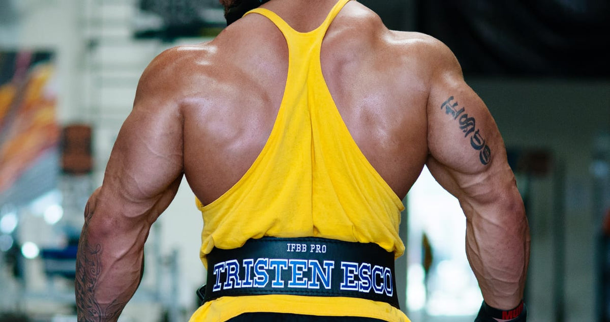 Build Your V-Taper With This Tip! – Shredz Supplements